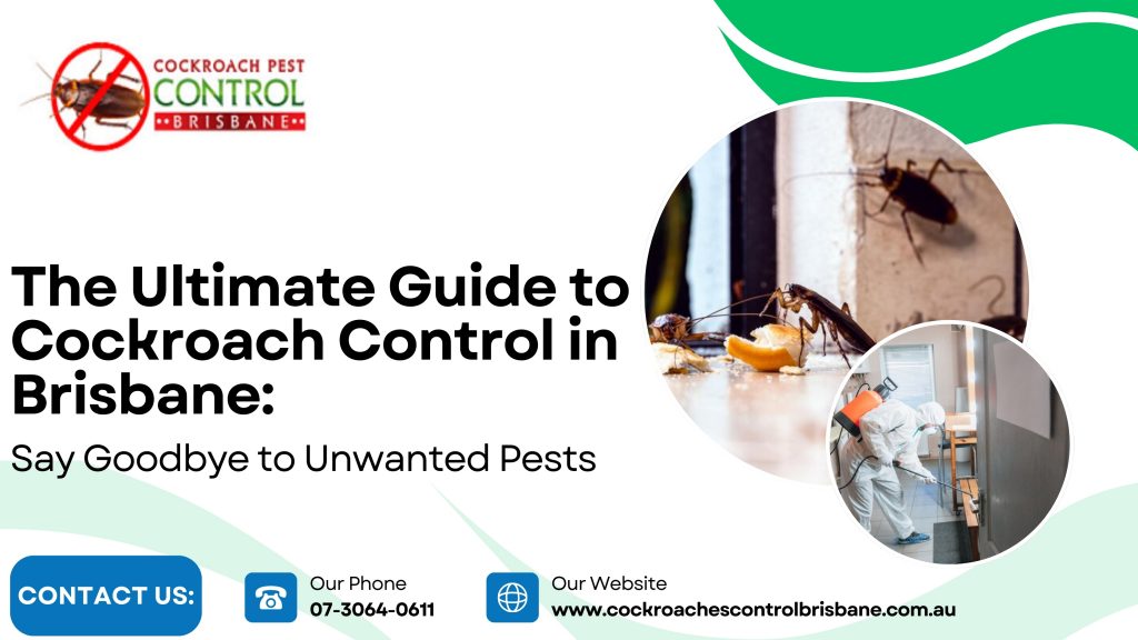 The Ultimate Guide to Cockroach Control in Brisbane: Say Goodbye to ...